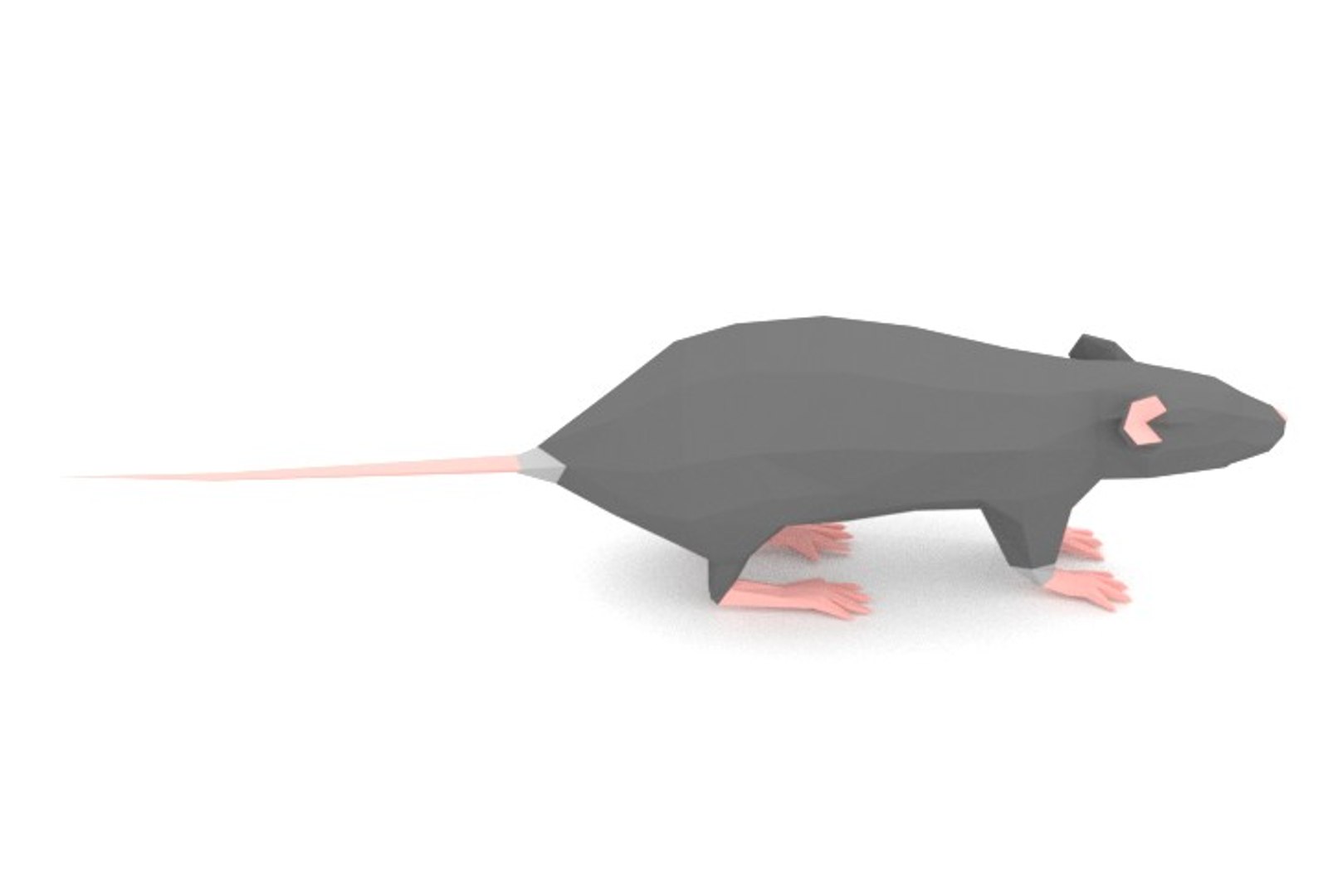 3d model blender rat