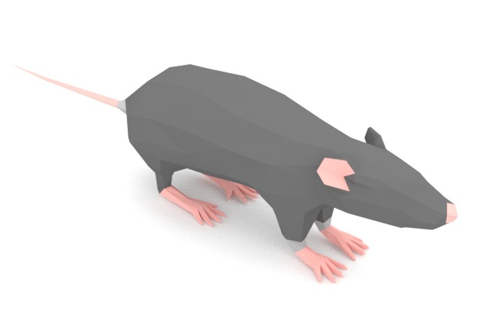 3d model blender rat