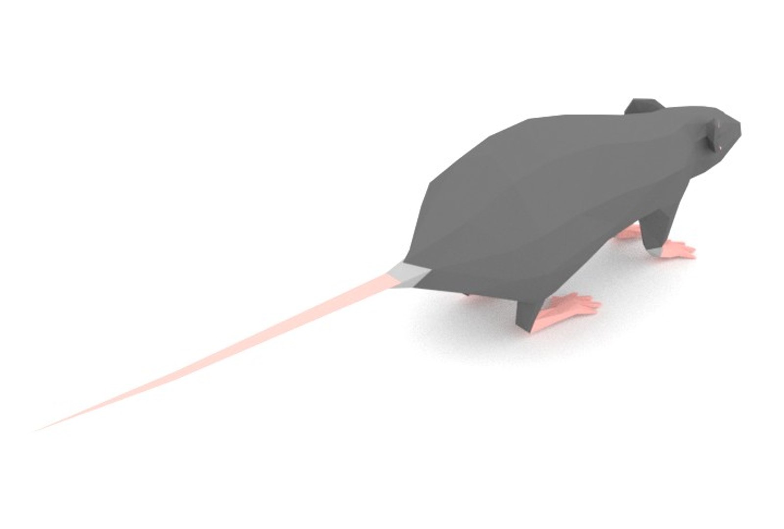 3d model blender rat