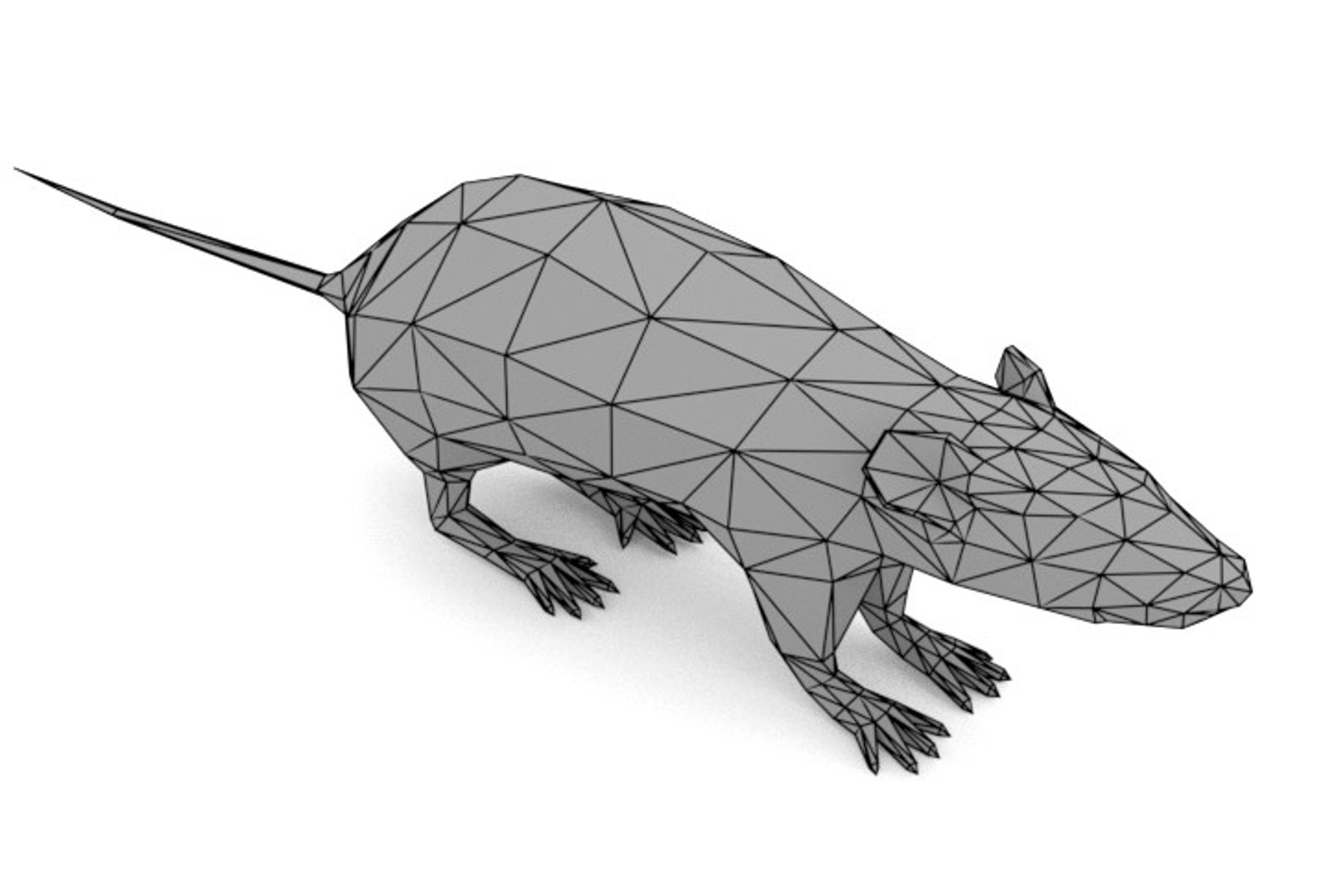 3d model blender rat