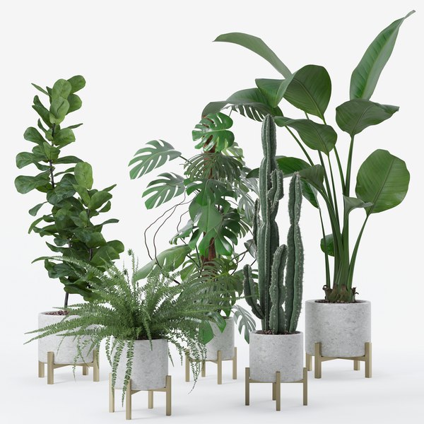 3D model Plants collection 123 - TurboSquid 1958909
