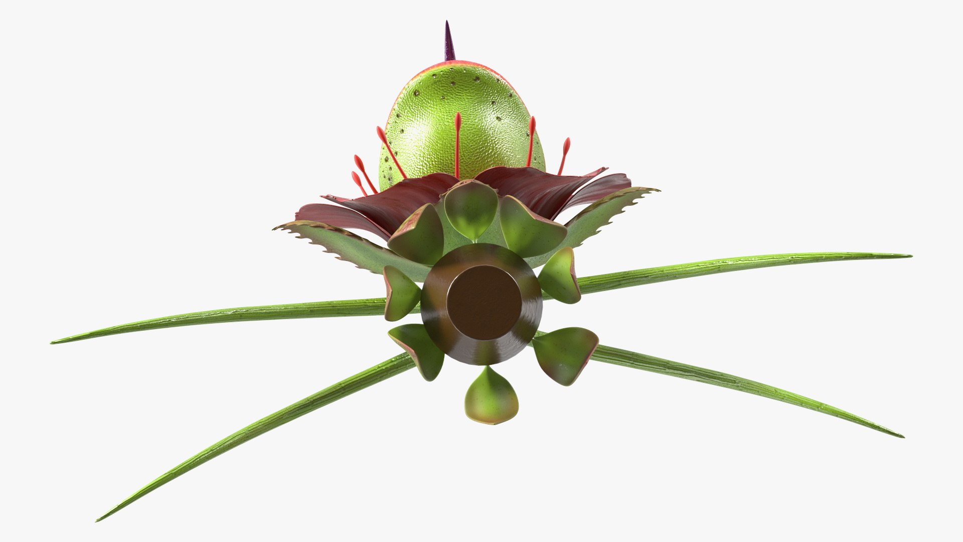 3D Monster Plant - TurboSquid 2041069