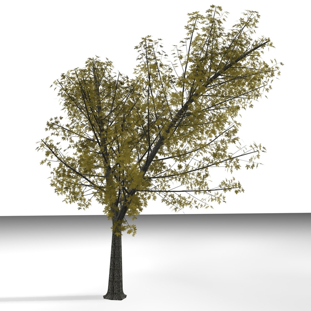 3d 3ds plane tree