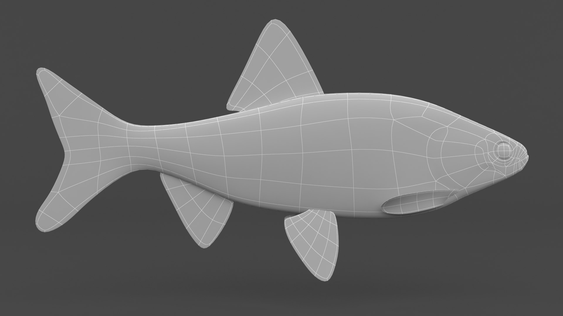 Fish Vobla 3D Model - TurboSquid 2141509