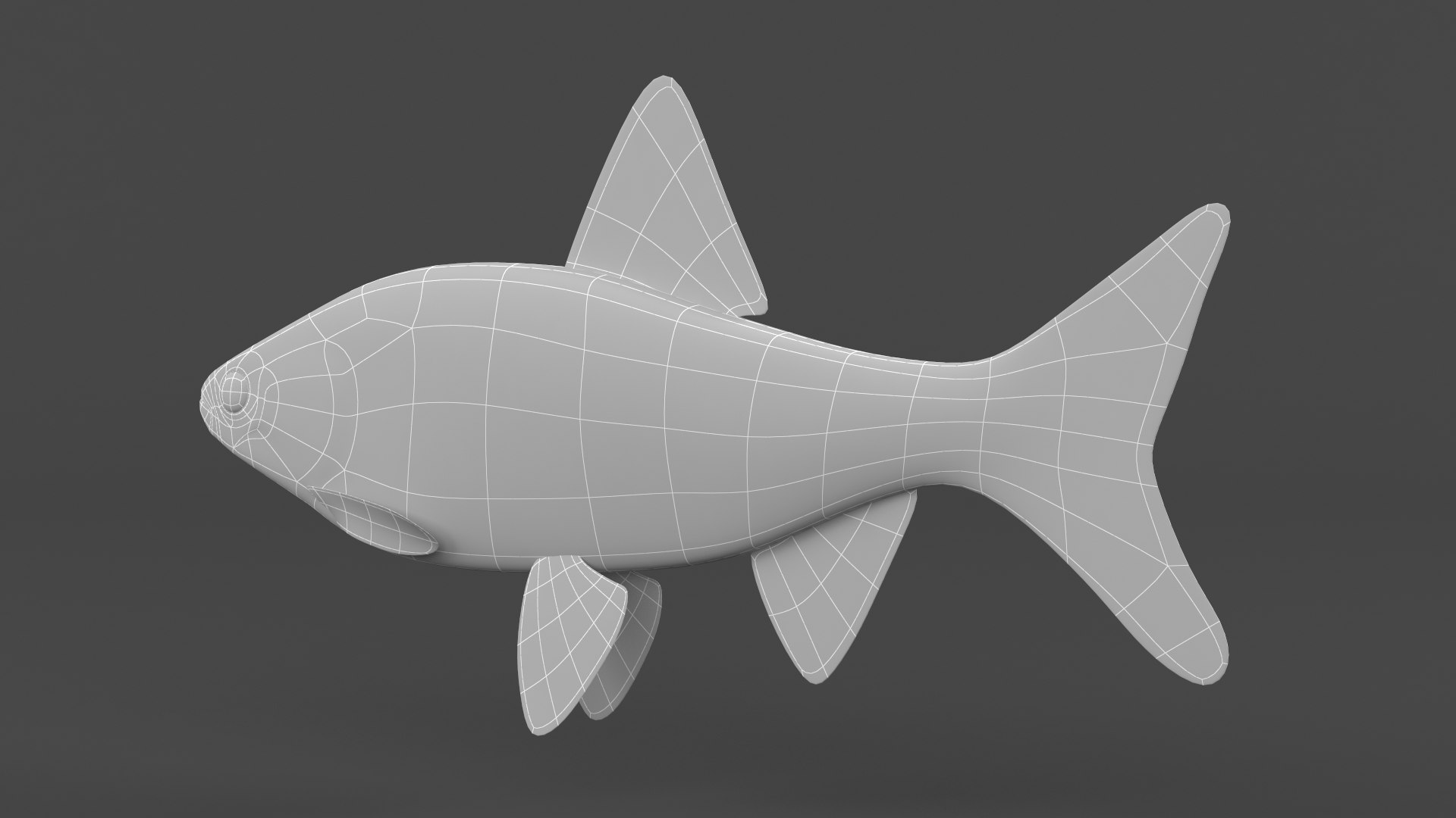 Fish Vobla 3D Model - TurboSquid 2141509