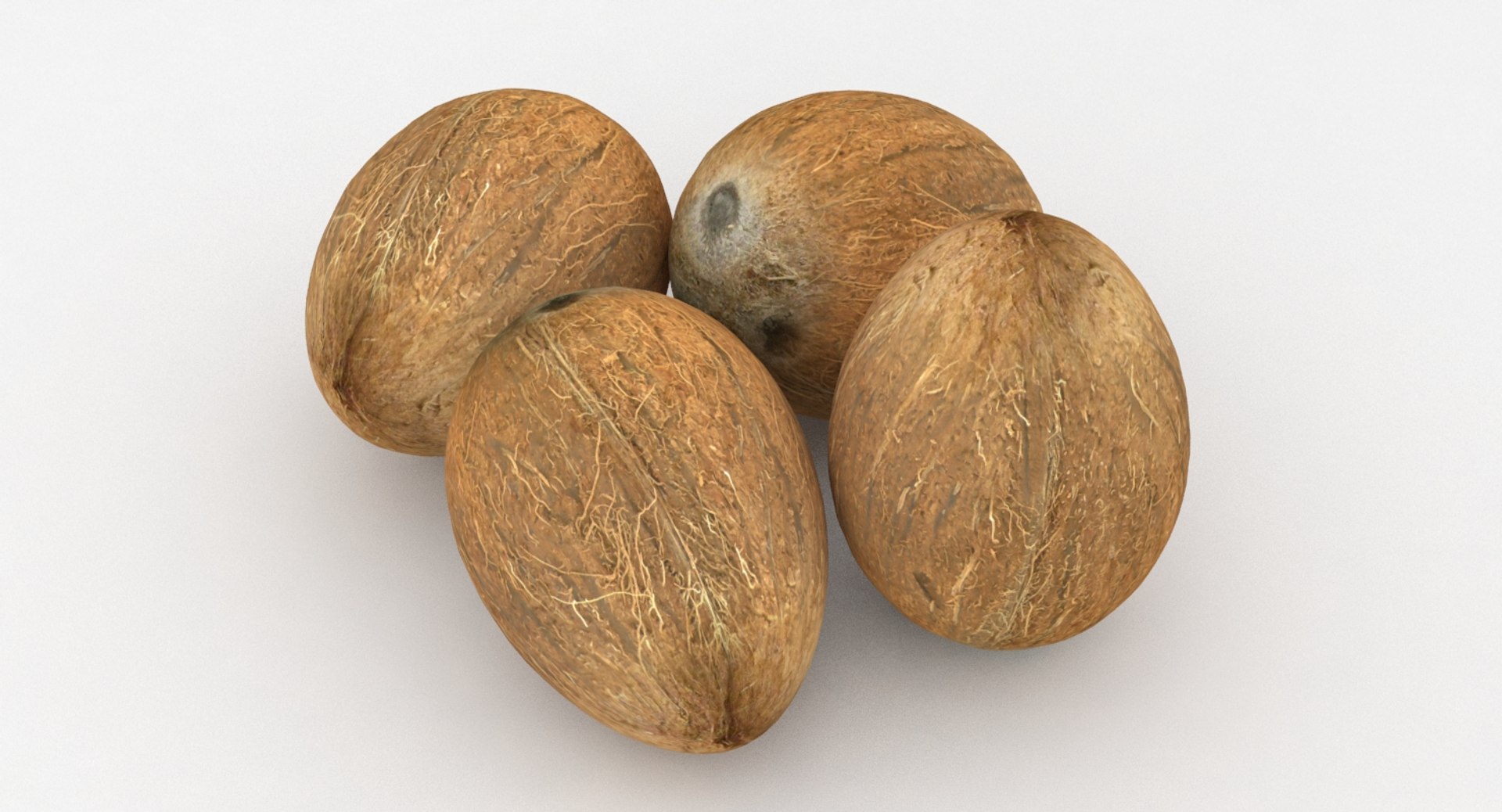 Coconut coco 3D - TurboSquid 1191670