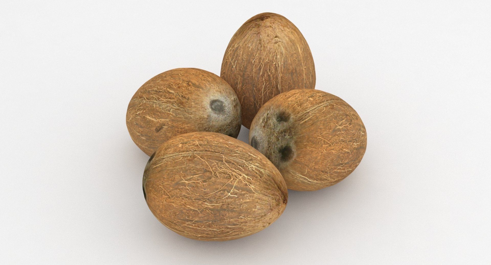 Coconut coco 3D - TurboSquid 1191670