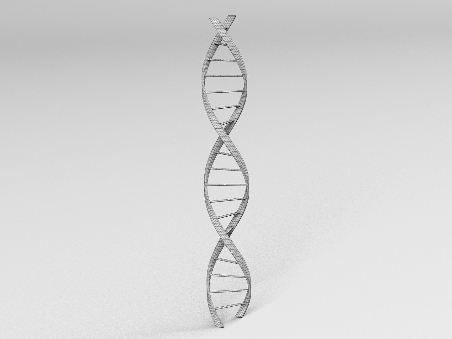 3D Dna Molecule Model - TurboSquid 1473929