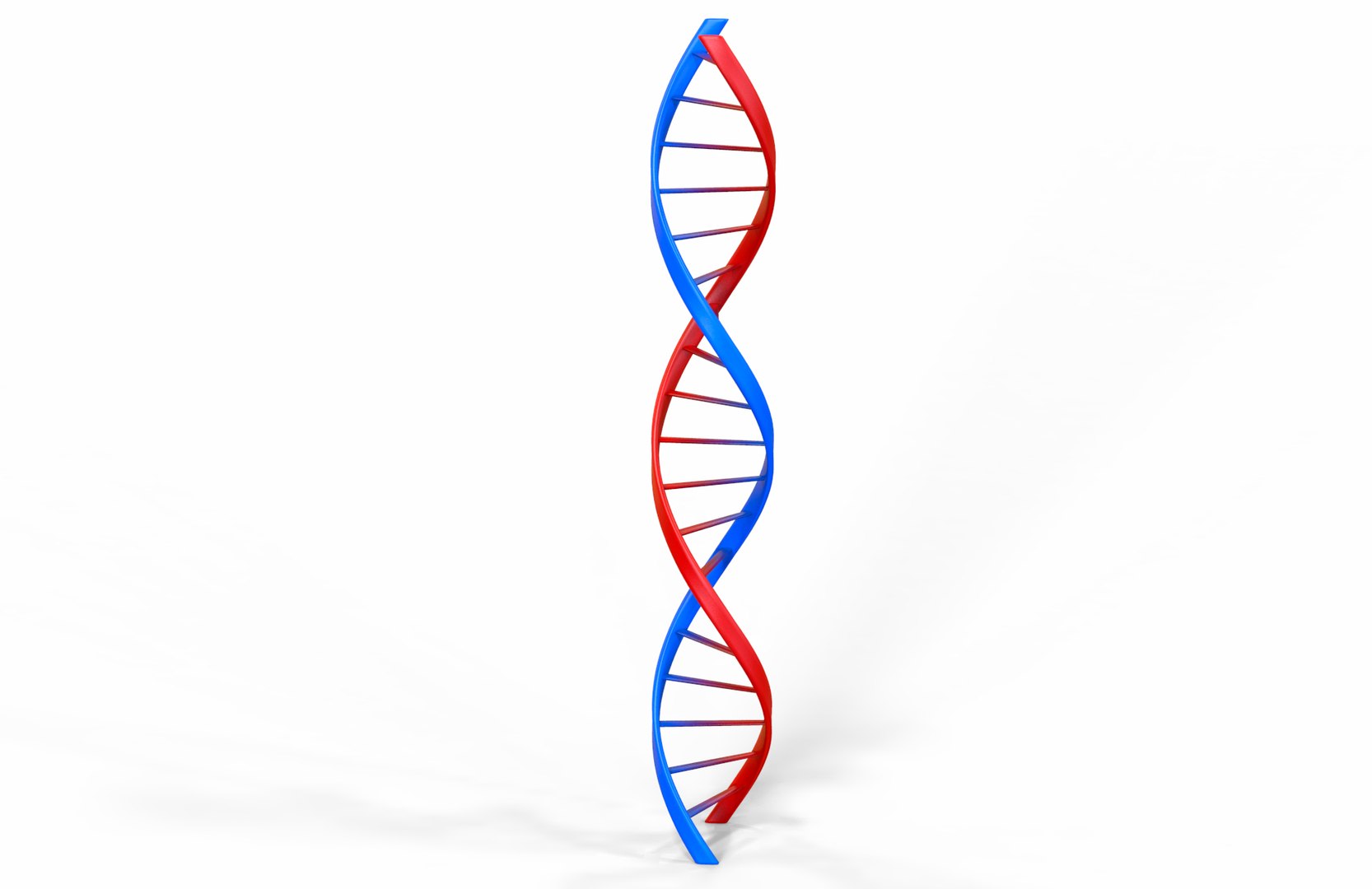 3D Dna Molecule Model - TurboSquid 1473929