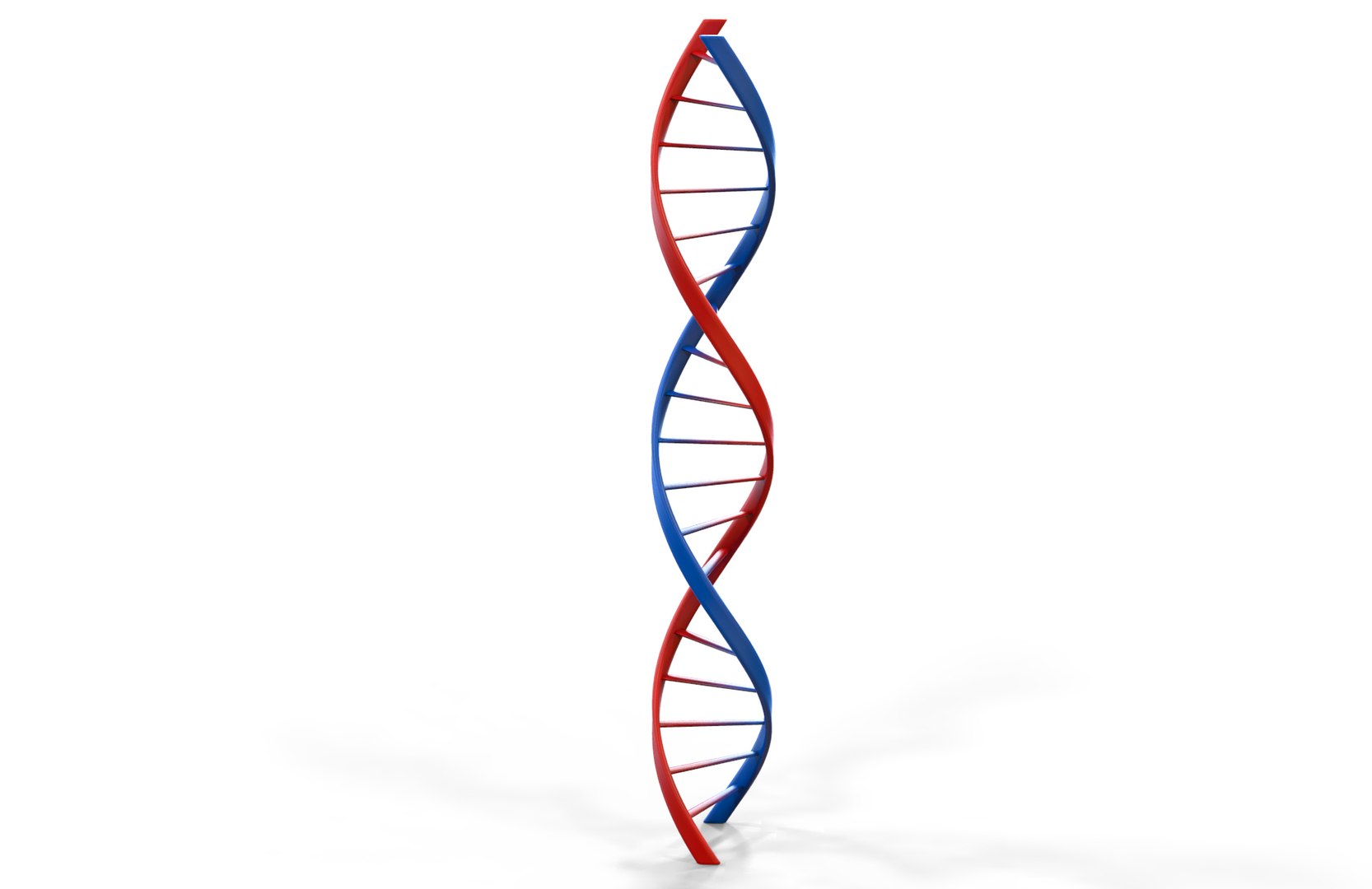 3D Dna Molecule Model - TurboSquid 1473929