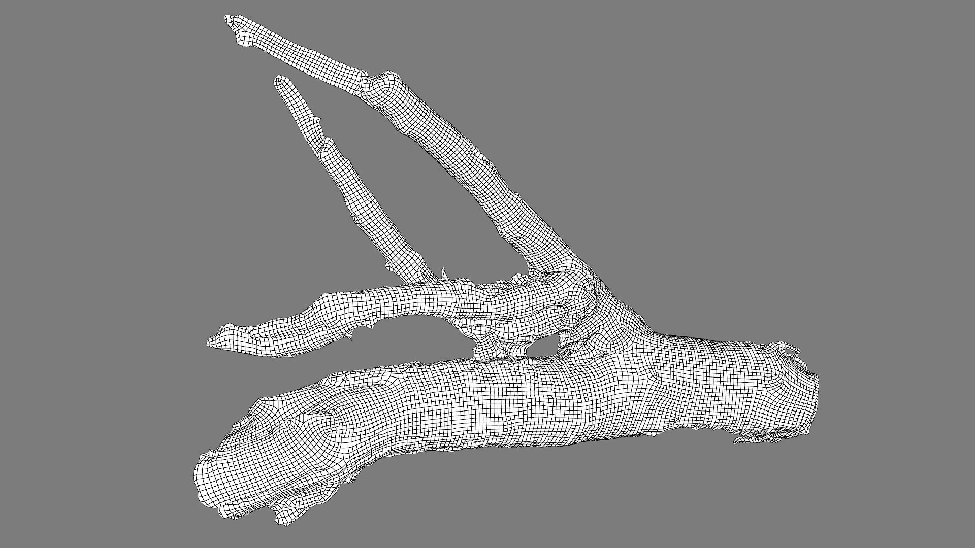 Twig Scanned 33 3D Model - TurboSquid 2088233