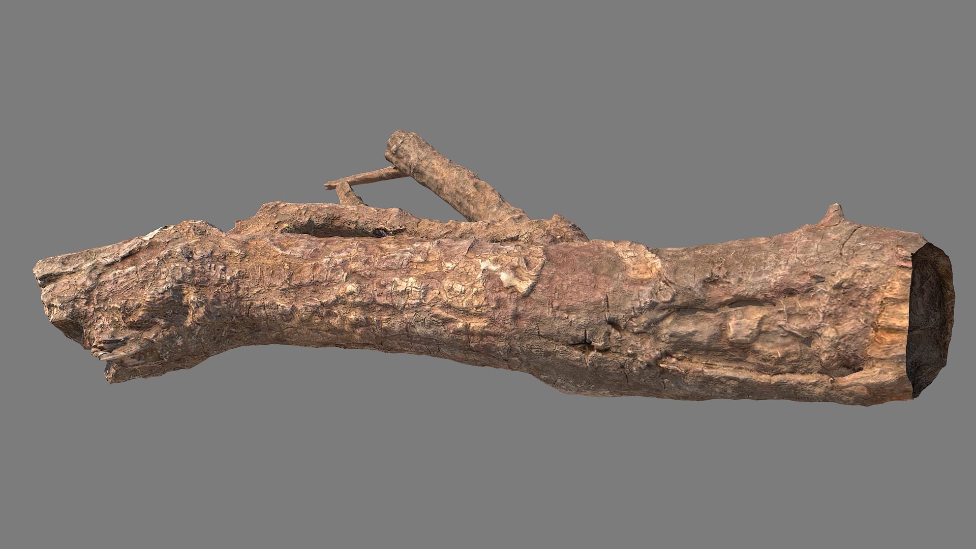 Twig Scanned 33 3D Model - TurboSquid 2088233