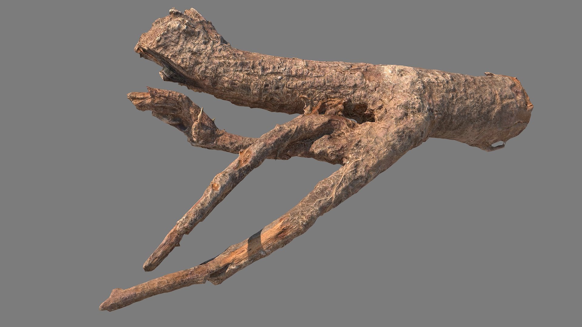 Twig Scanned 33 3D Model - TurboSquid 2088233