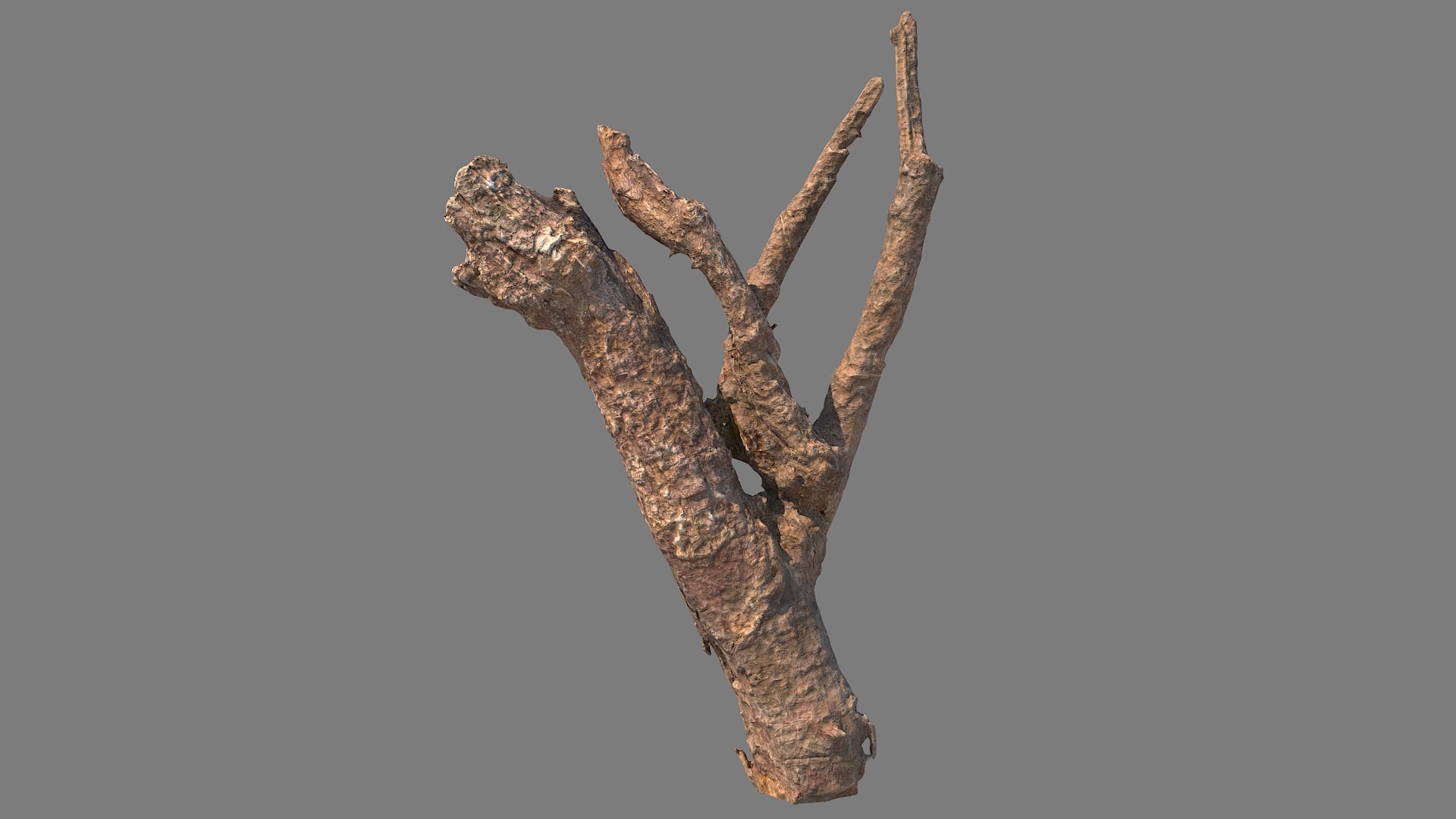 Twig Scanned 33 3D Model - TurboSquid 2088233