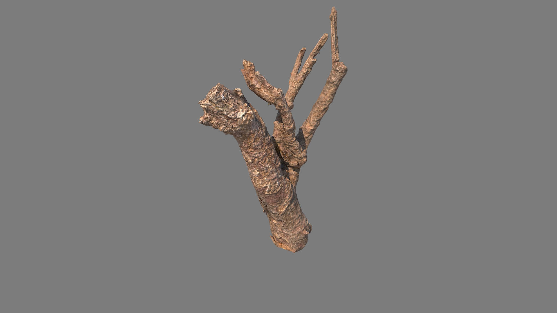 Twig Scanned 33 3D Model - TurboSquid 2088233