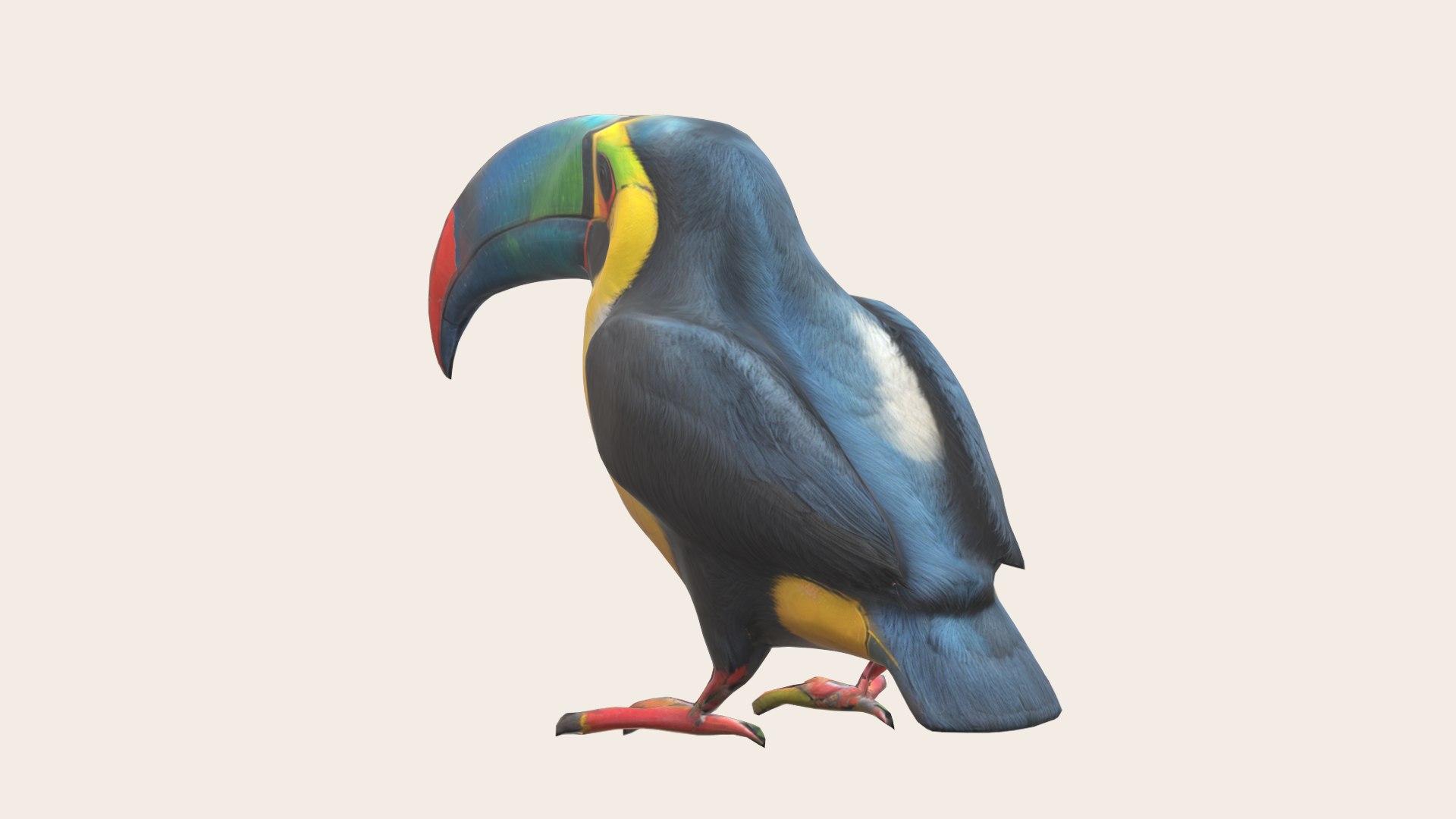 Toucan 3D - TurboSquid 2219936