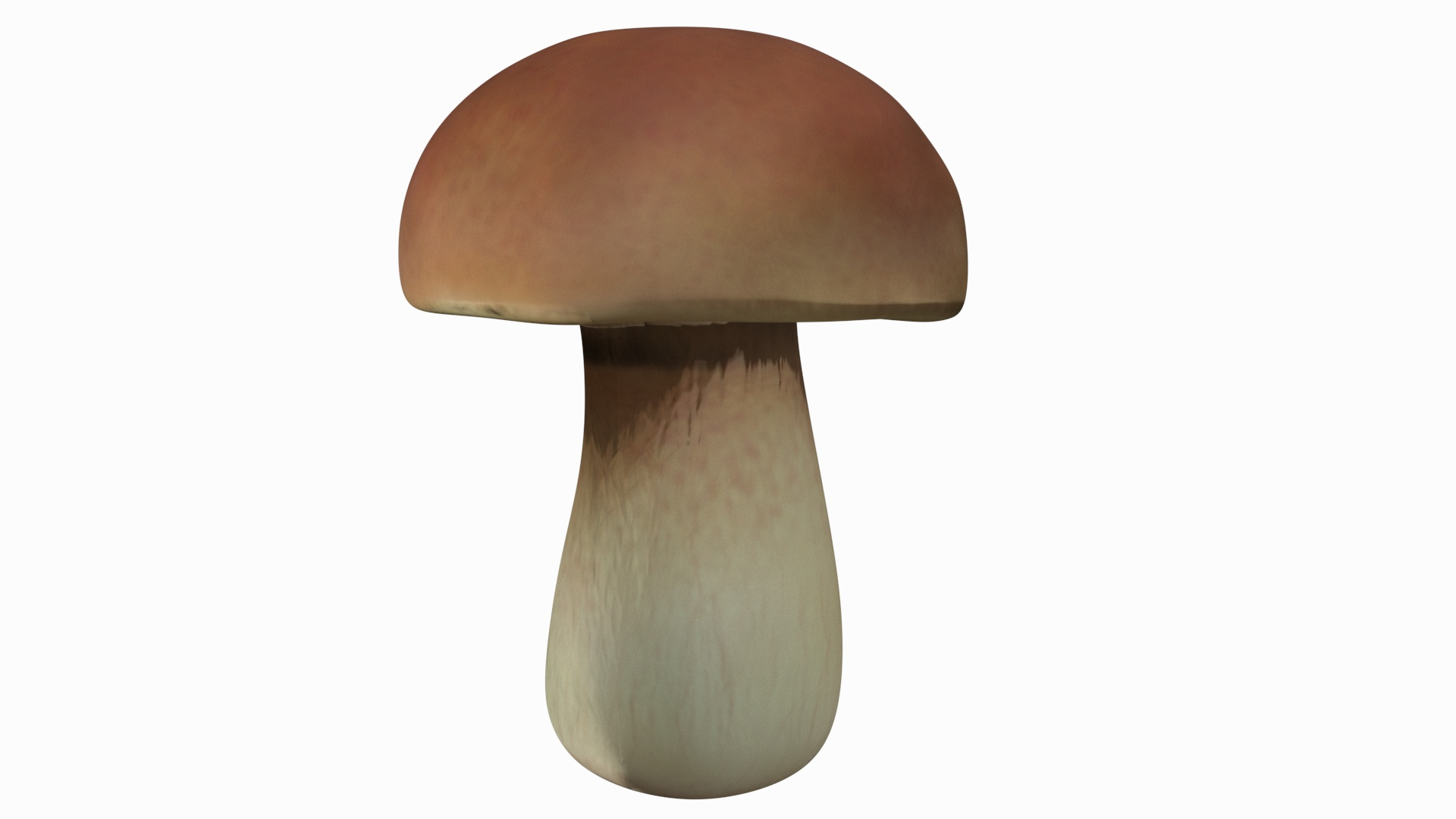 3D Bolete - TurboSquid 1957308