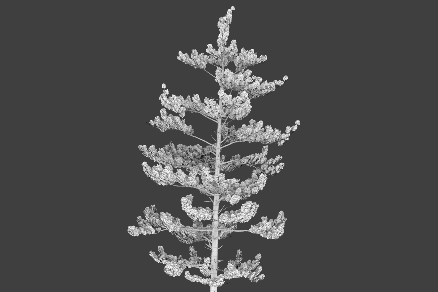 Pine tree packed 3D model - TurboSquid 1362606