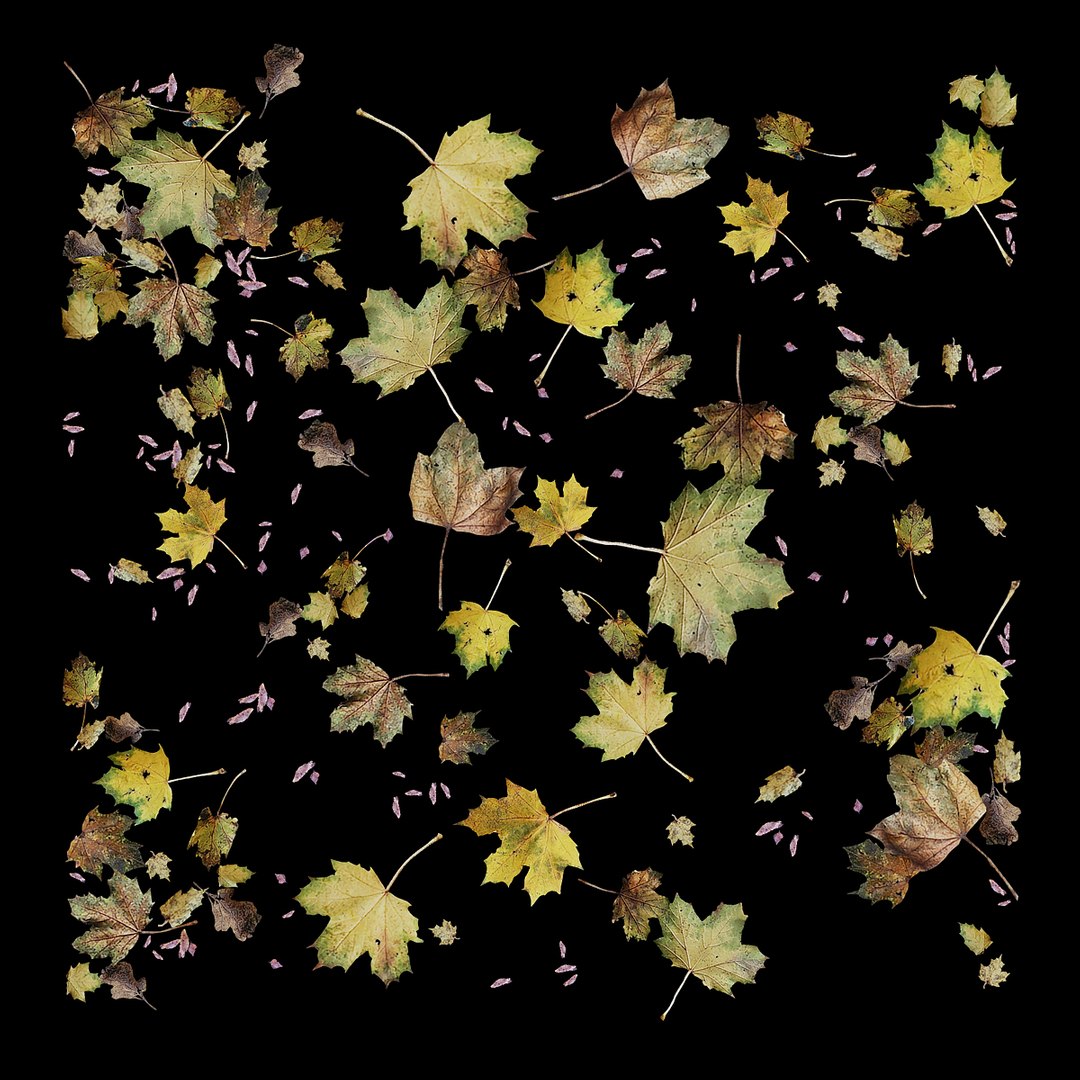 3D Autumn Leaves 4 - TurboSquid 1817796