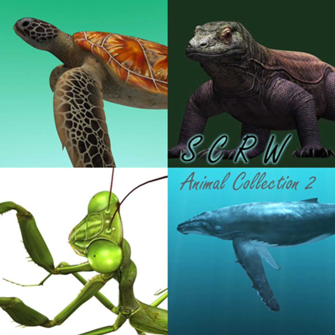 Animal 2 3d Obj