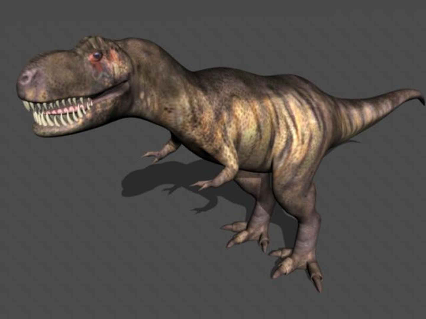 maya dinosaur tores