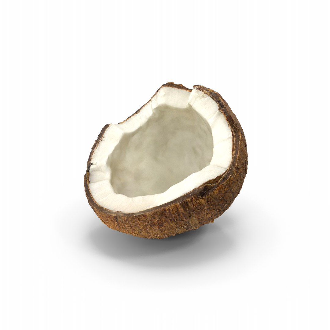 Coconut Model - TurboSquid 2349480