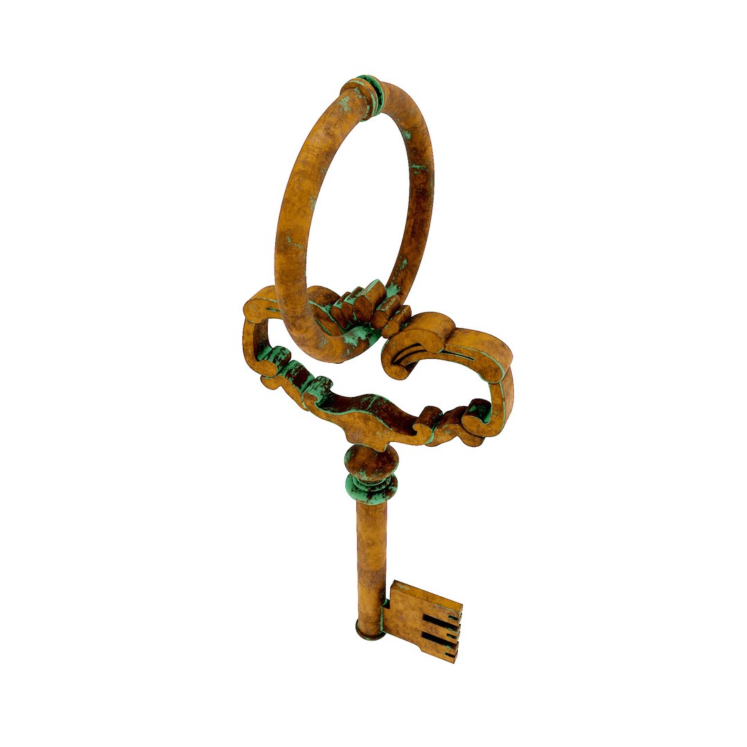Grungy Skeleton Key 3D Model - TurboSquid 1977745