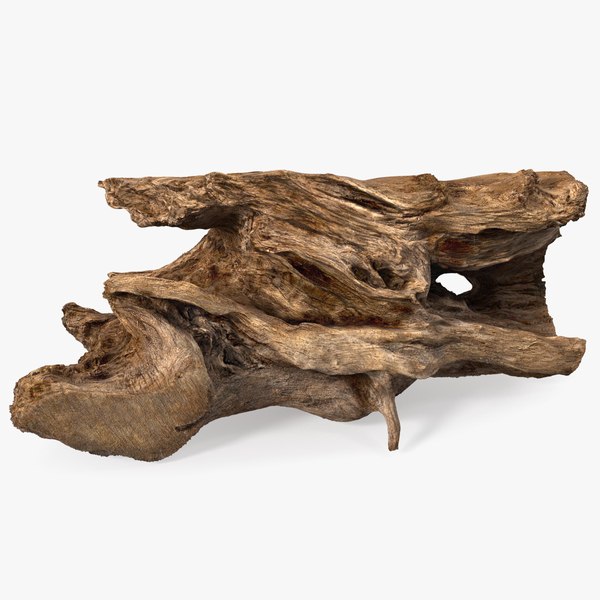 Free Tree Trunk 3D Models for Download | TurboSquid