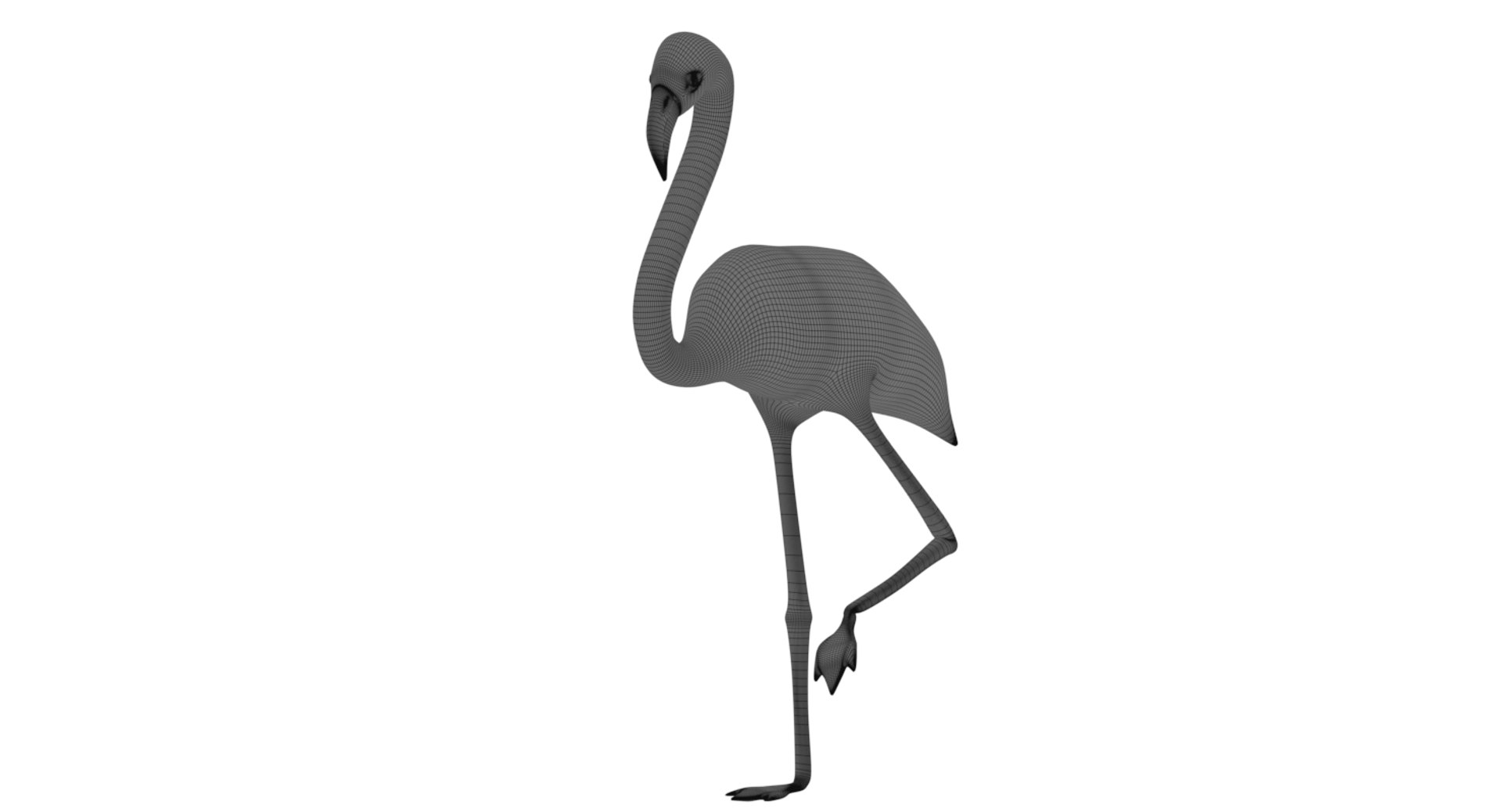 3d Flamingo