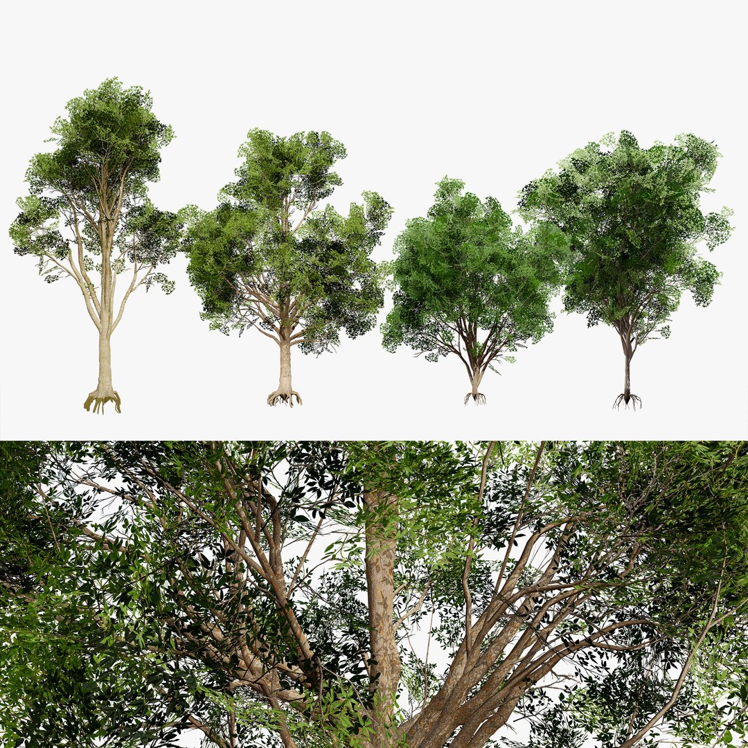 Realistic Mango Tree Asset Model - TurboSquid 2287823