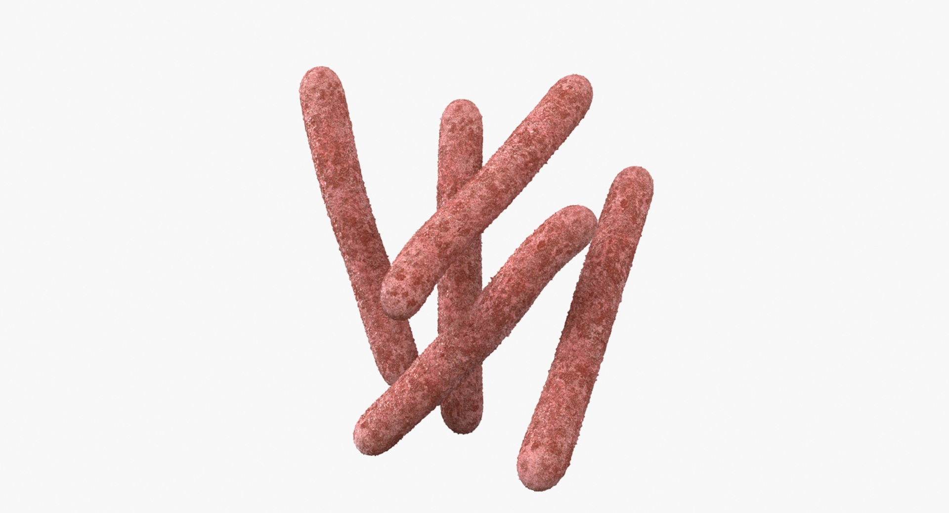 Mycobacterium tuberculosis bacteria 3D model - TurboSquid 1302149