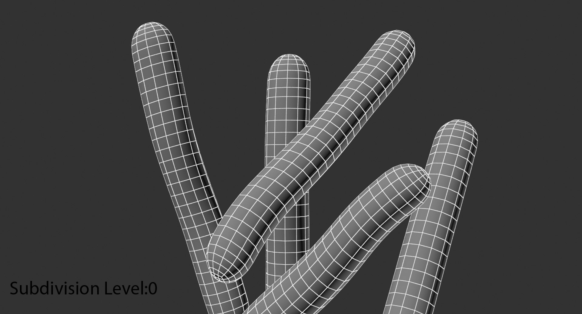 Mycobacterium tuberculosis bacteria 3D model - TurboSquid 1302149