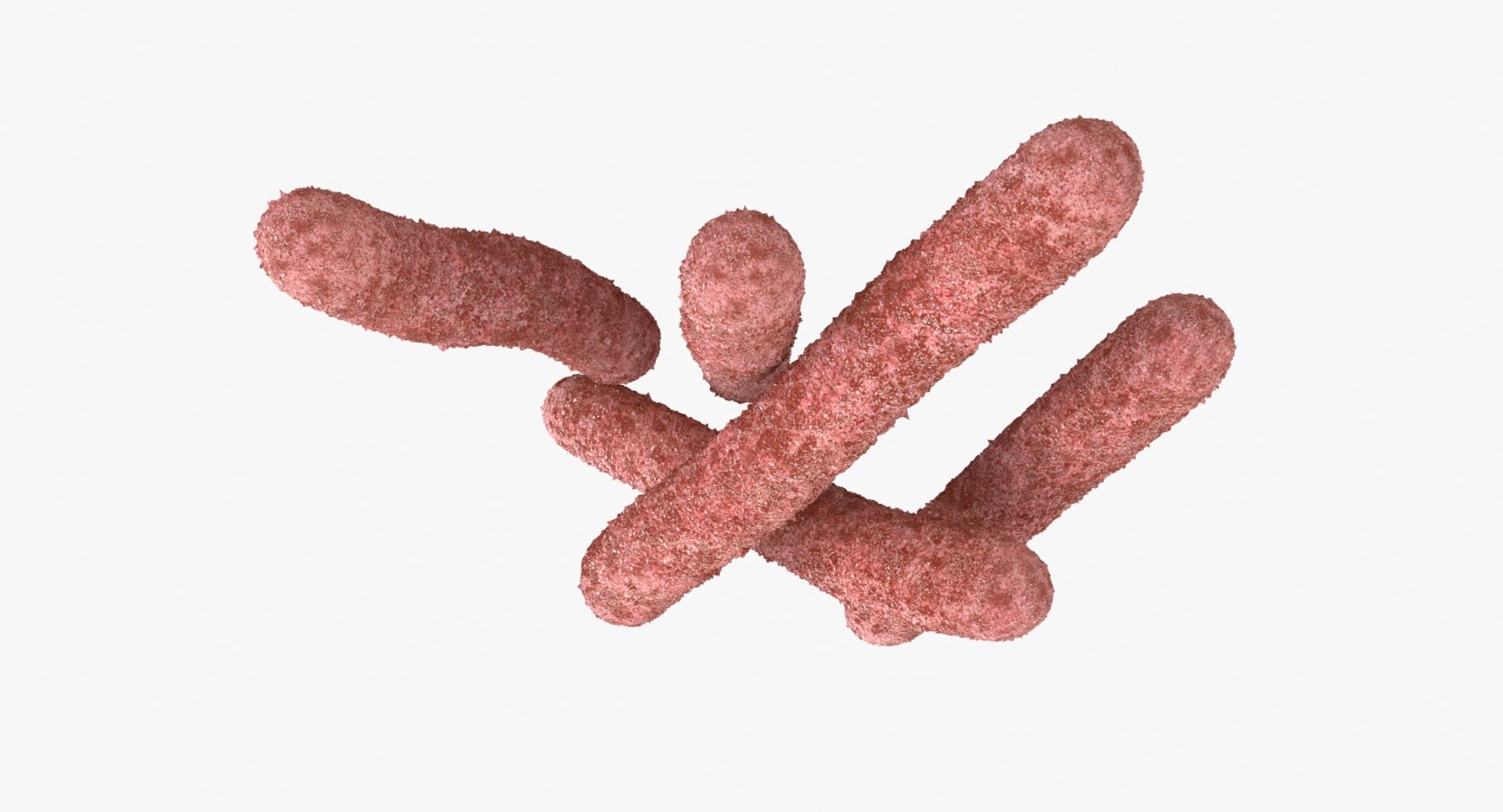 Mycobacterium tuberculosis bacteria 3D model - TurboSquid 1302149