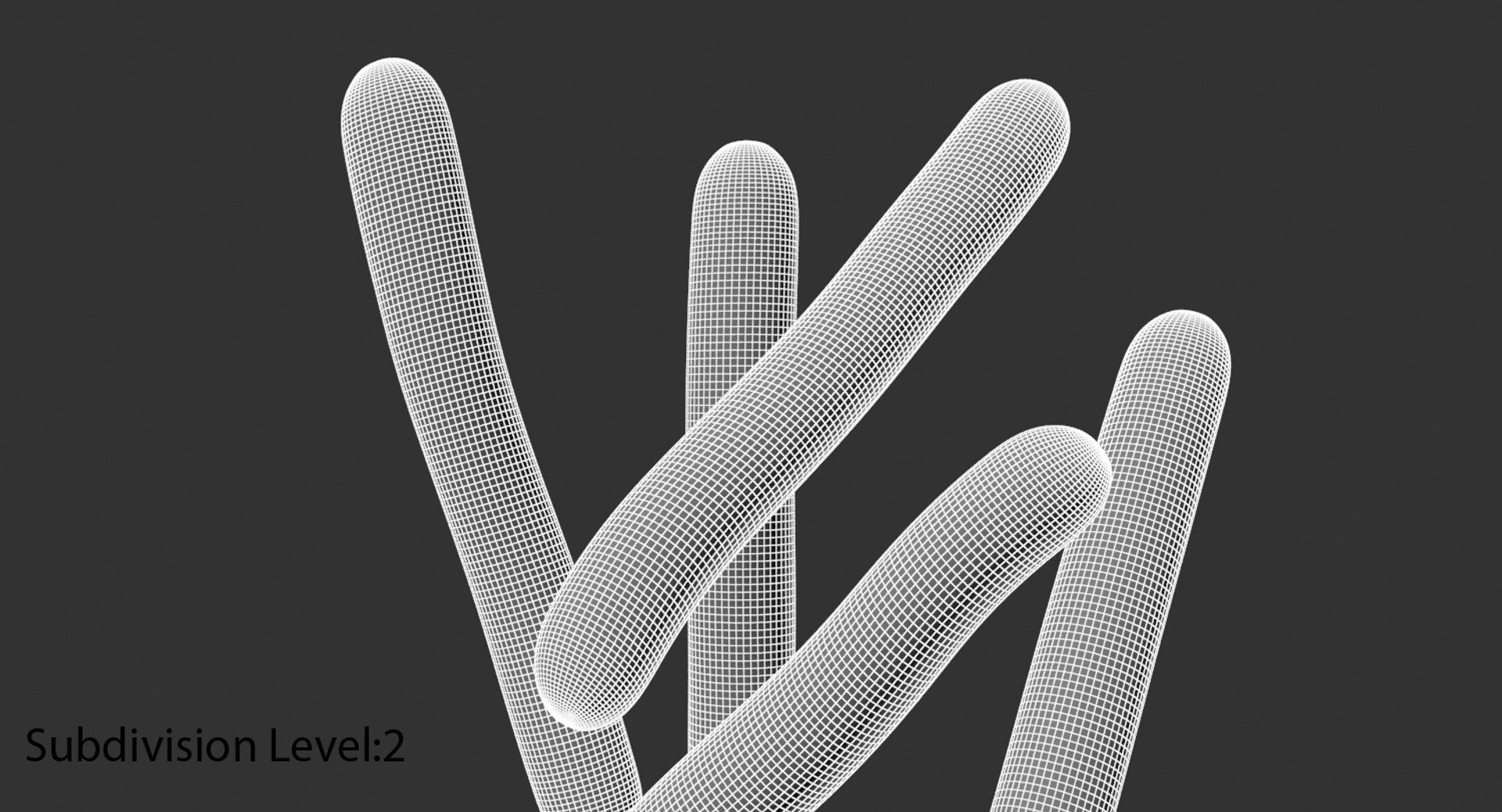 Mycobacterium tuberculosis bacteria 3D model - TurboSquid 1302149