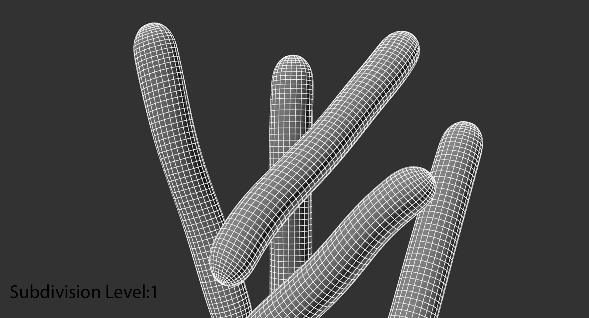 Mycobacterium tuberculosis bacteria 3D model - TurboSquid 1302149