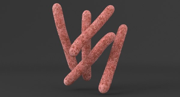 Mycobacterium tuberculosis bacteria 3D model - TurboSquid 1302149