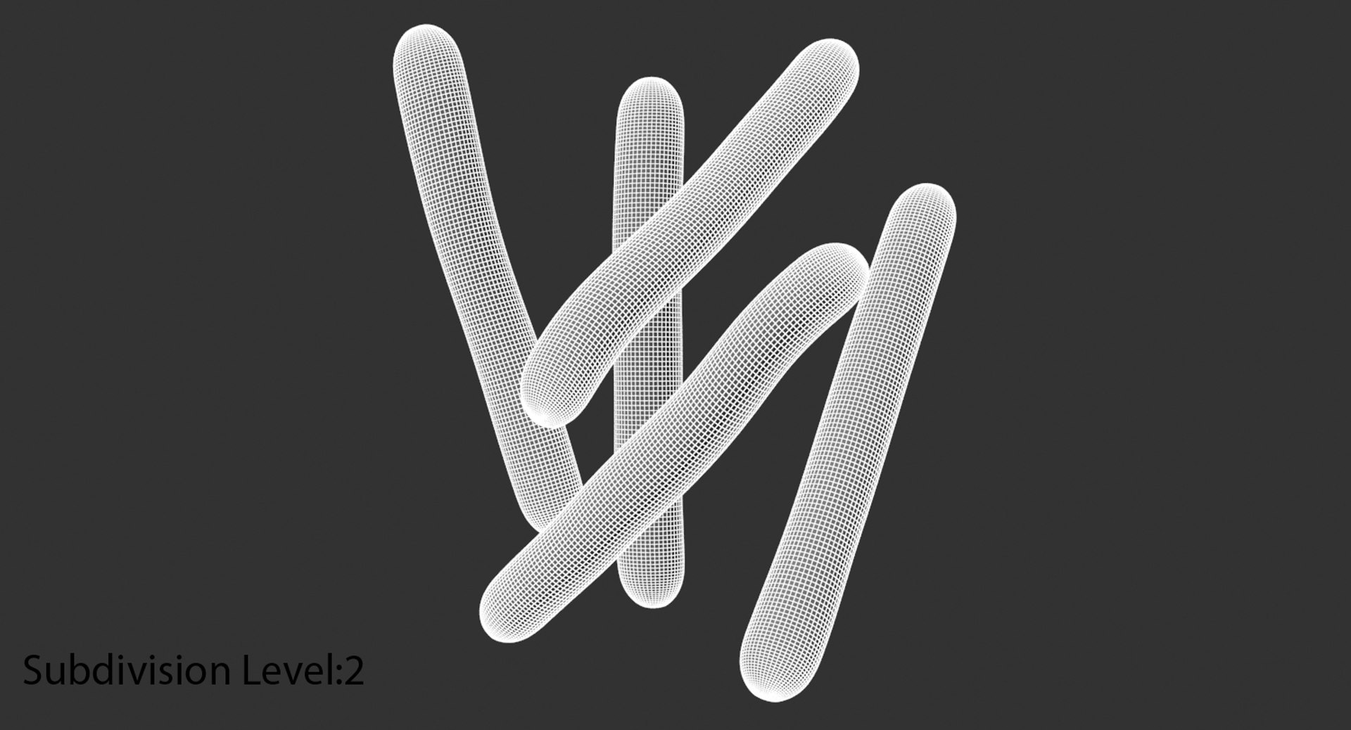 Mycobacterium tuberculosis bacteria 3D model - TurboSquid 1302149