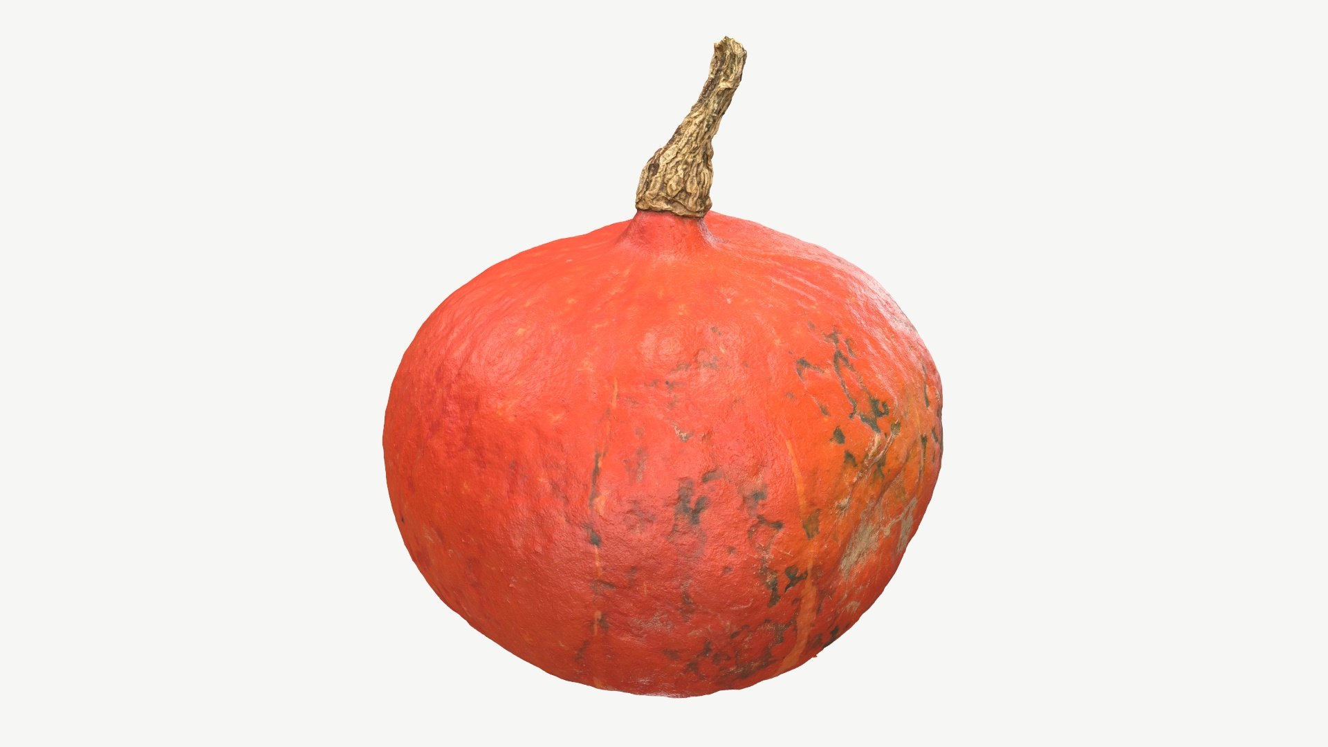 3D Pumpkin Fruit - TurboSquid 1620090