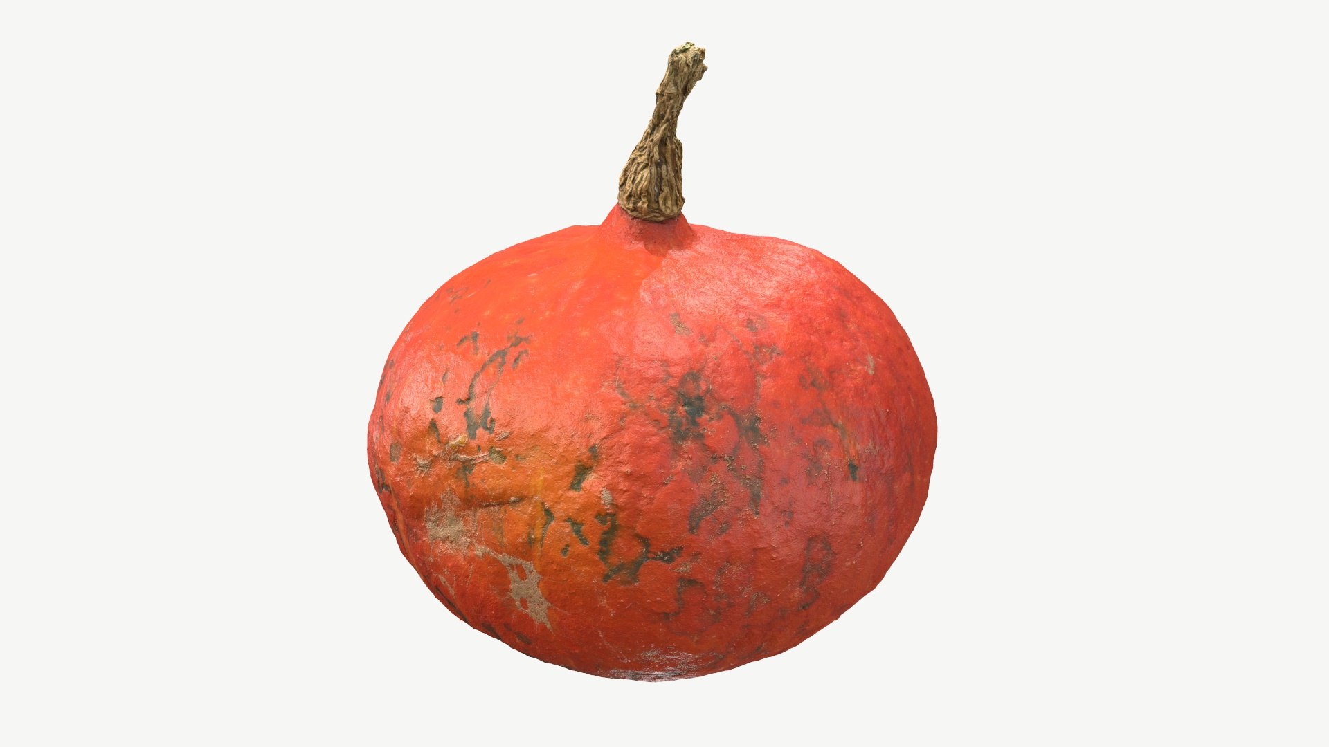 3D Pumpkin Fruit - TurboSquid 1620090