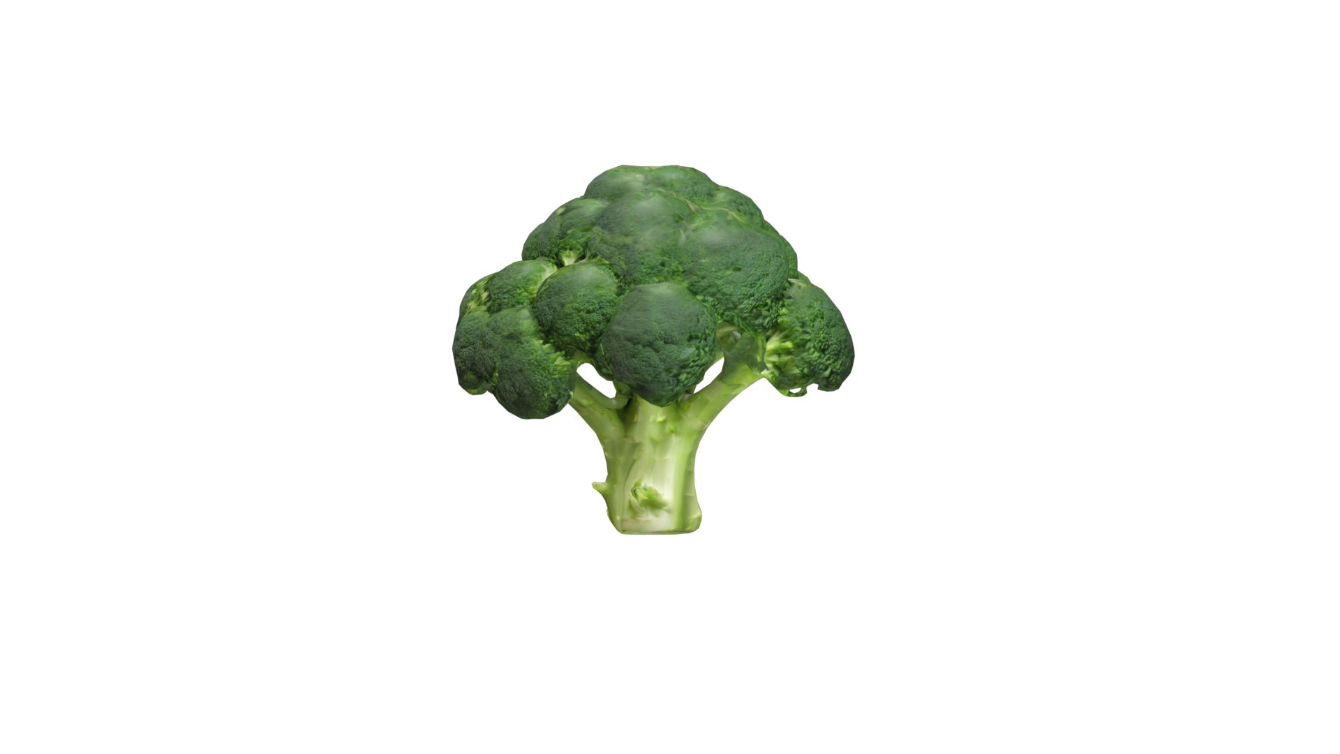 Green Broccoli 3d Model 3D Model - TurboSquid 2339459