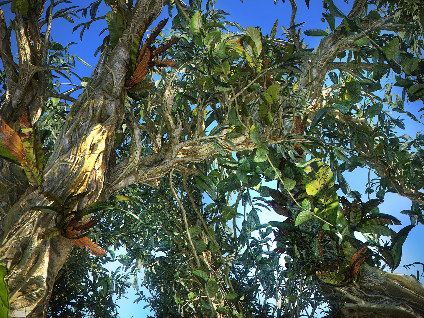 3D Rain Forest Ecosystems Pack - TurboSquid 1466058