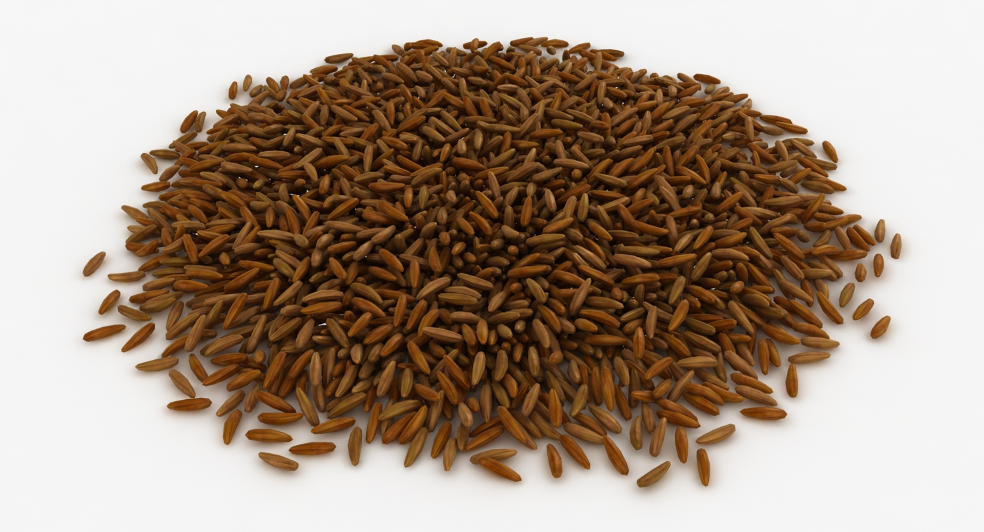 Realistic Brown Rice 3D Model - TurboSquid 1170530