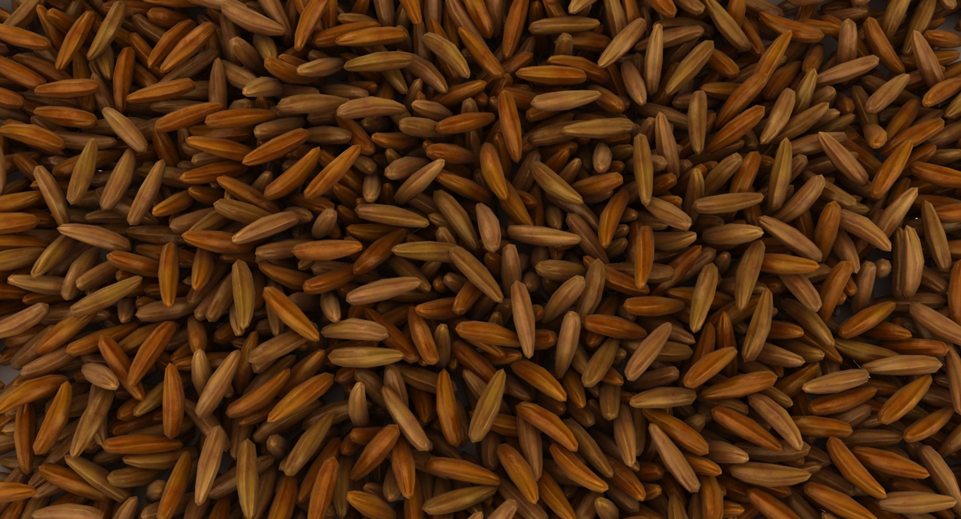 Realistic Brown Rice 3D Model - TurboSquid 1170530