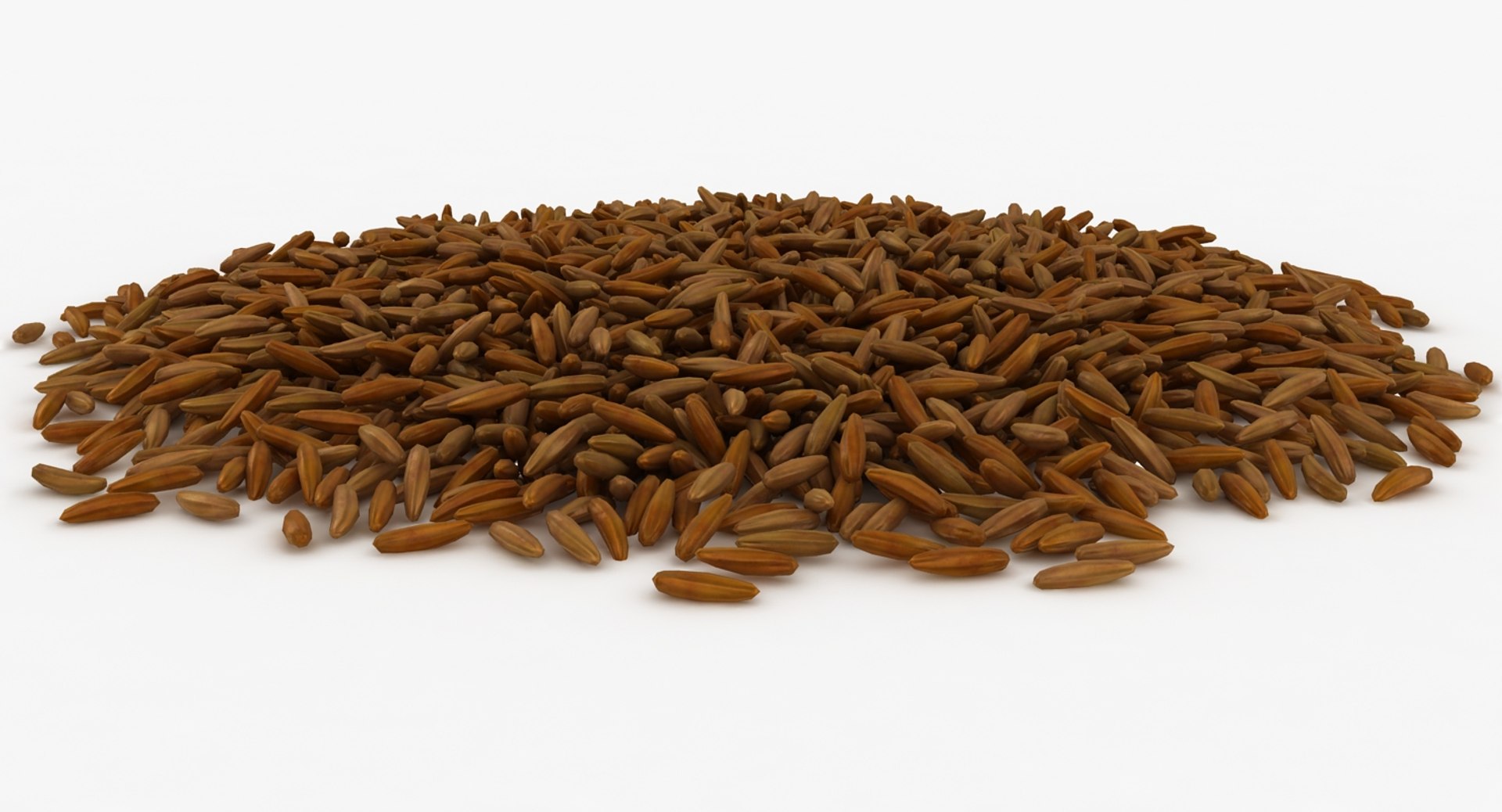 Realistic Brown Rice 3D Model - TurboSquid 1170530