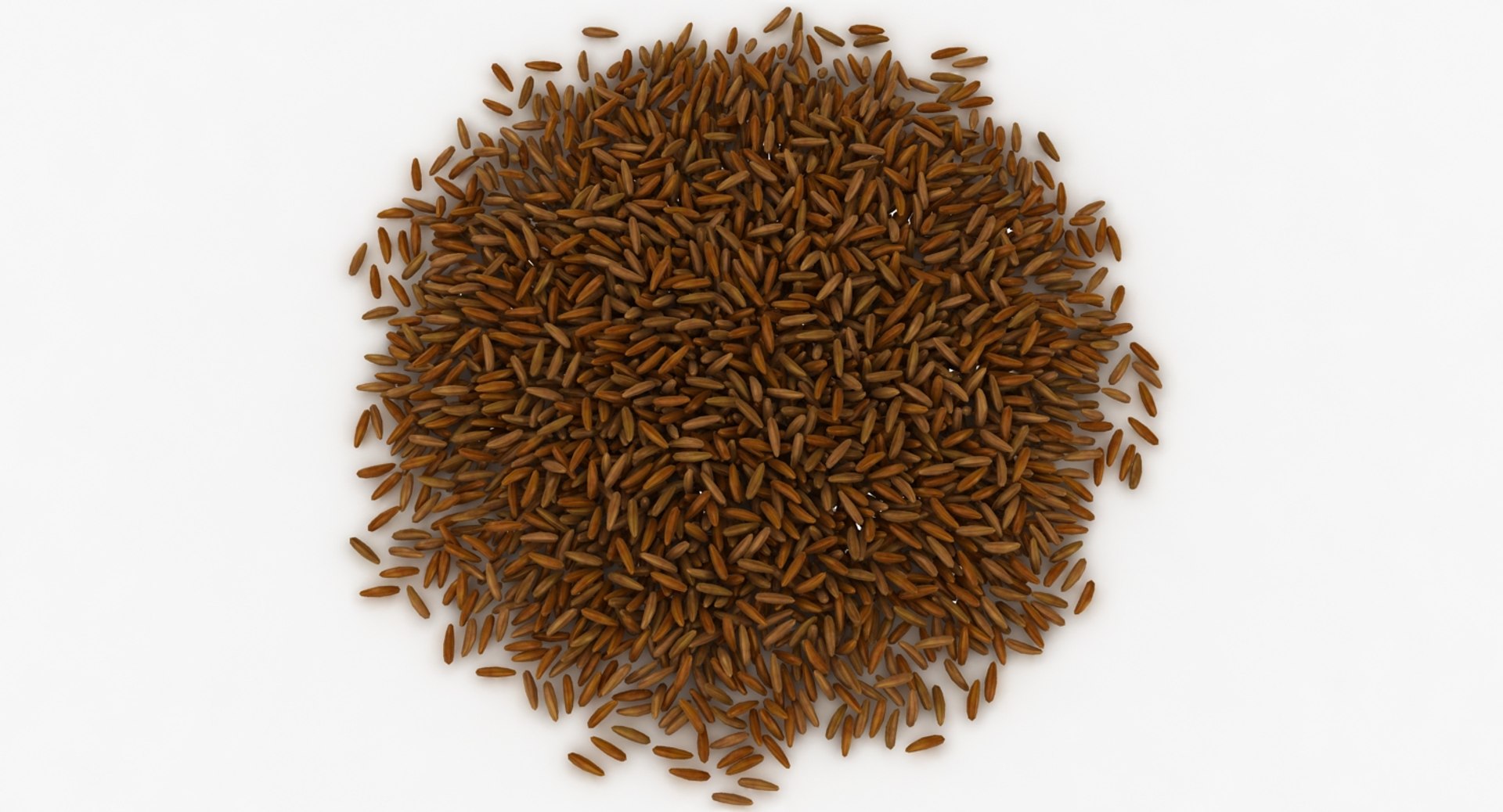 Realistic Brown Rice 3D Model - TurboSquid 1170530