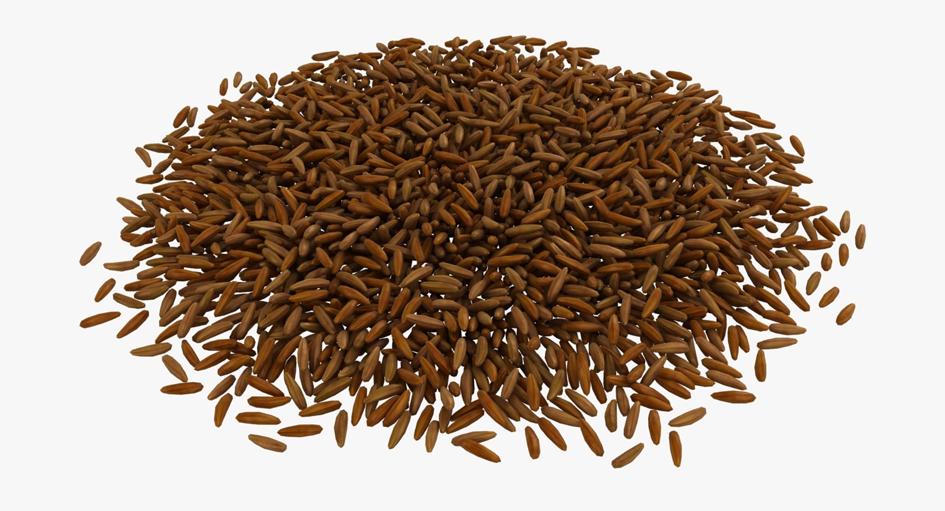 Realistic Brown Rice 3D Model - TurboSquid 1170530
