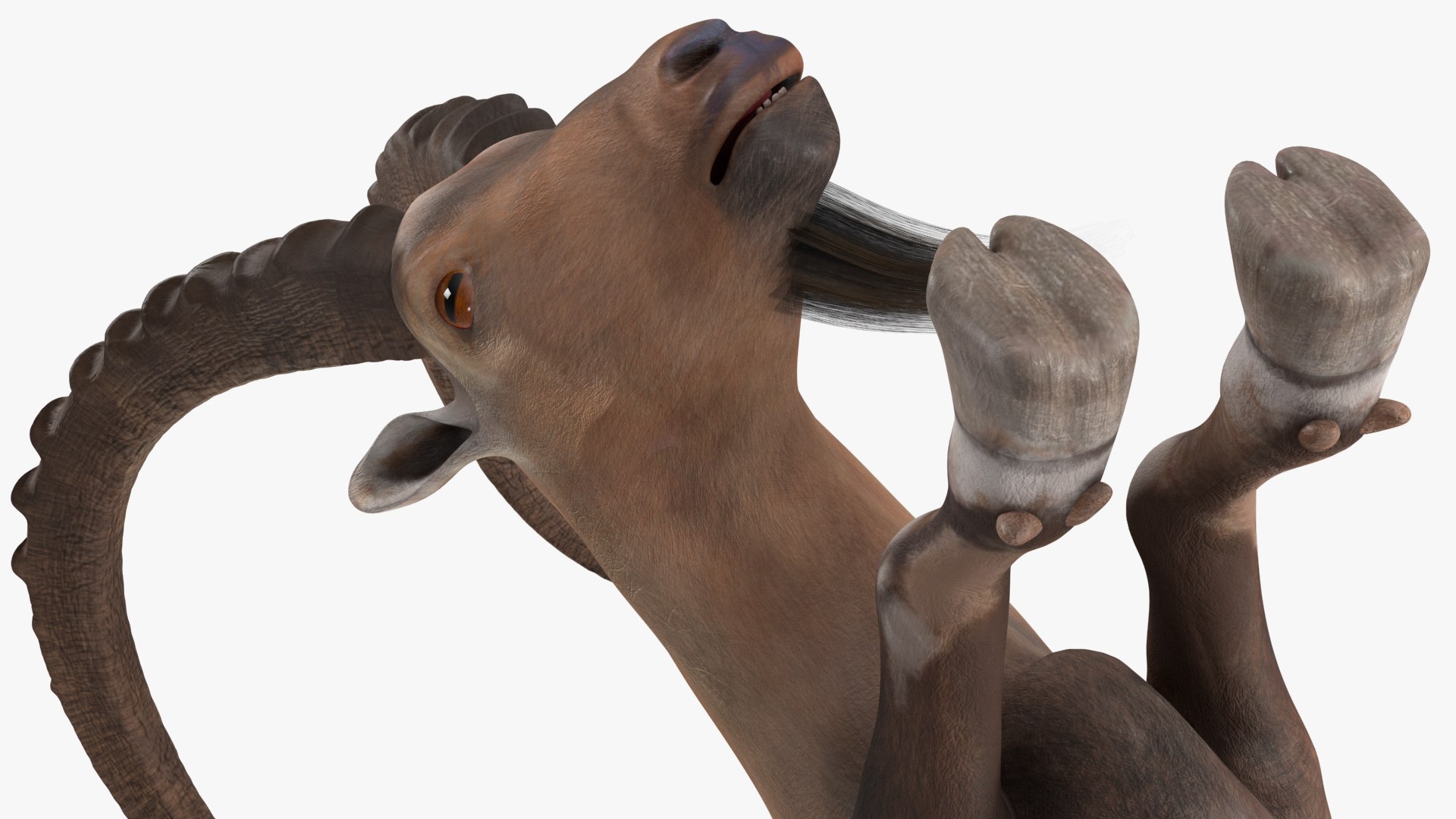 Alpine Ibex With Large Horns 3D - TurboSquid 2225827
