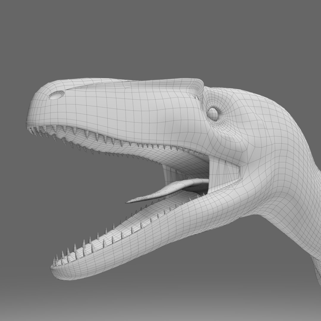 3D Model Aratasaurus Museunacionali Fur - TurboSquid 1597976
