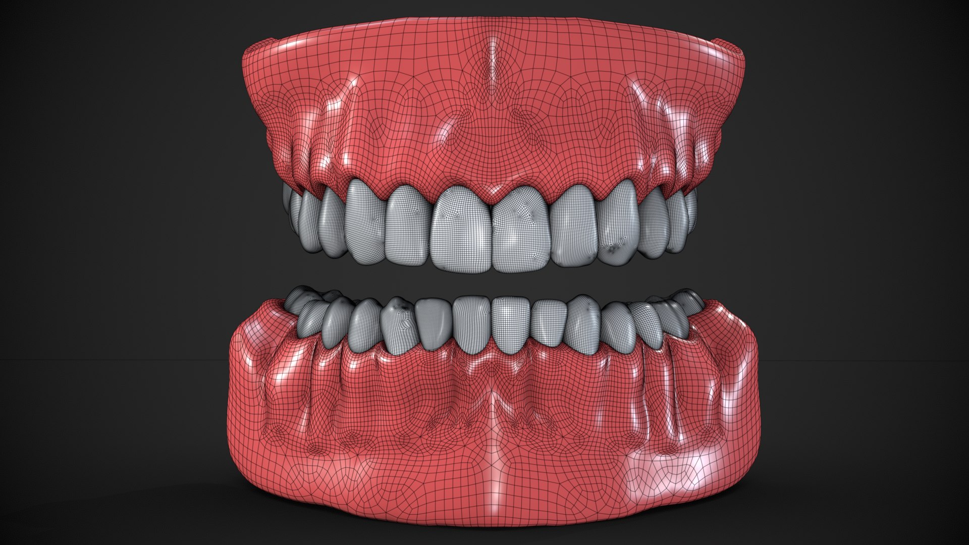 Full Mouth 3D Model For Printing And Educational Purposes 3D Model ...