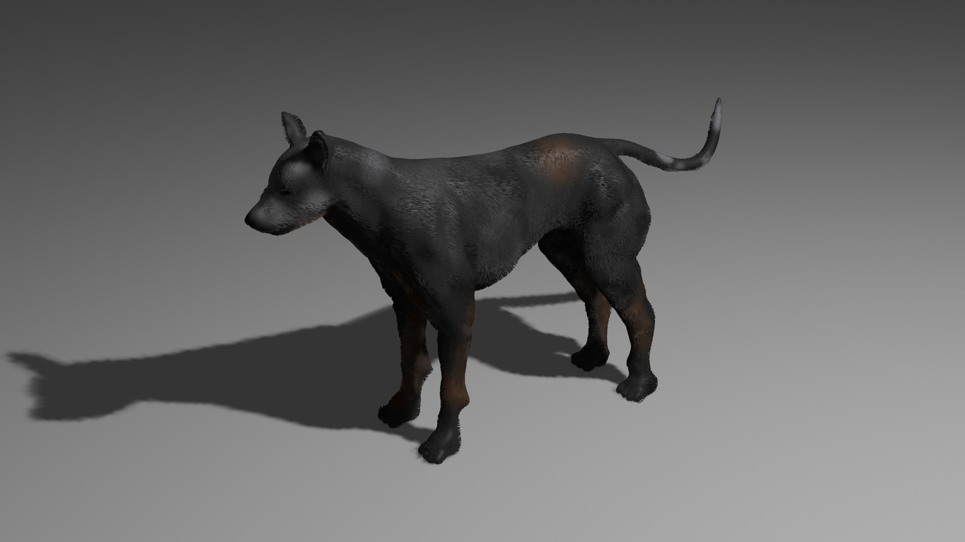 3D Dog - TurboSquid 2264183